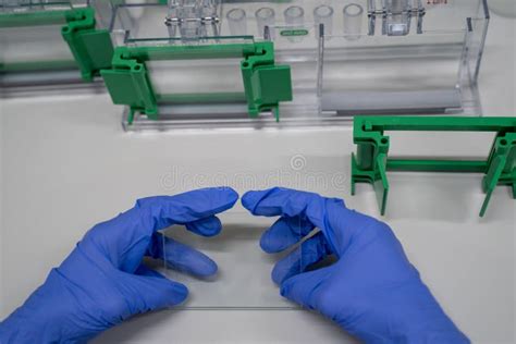 The General Process Preparation For Protein Levels Detection Is Using