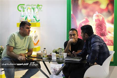 خانم رضایی تهران طیور سبز