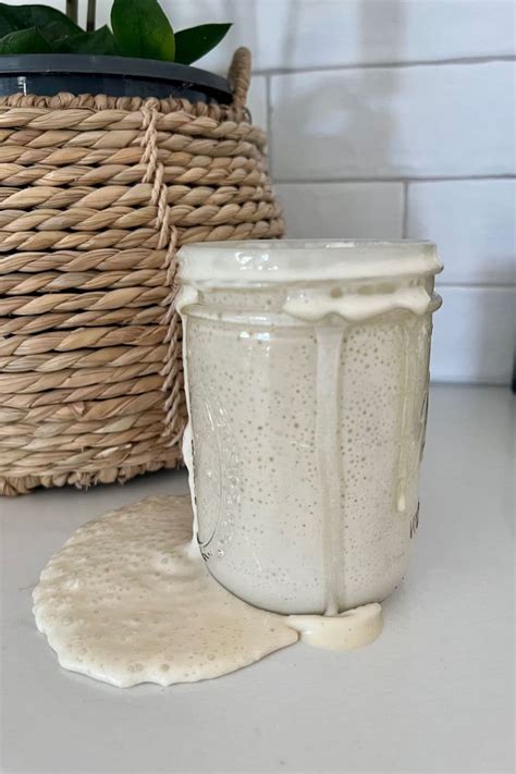 Make And Maintain A Small Sourdough Starter Mini Starter The Pantry Mama