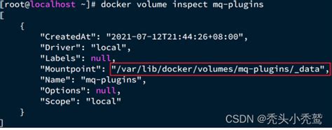 Rabbitmq——高级（延时队列and惰性队列and集群）mq的延迟队列 Csdn博客