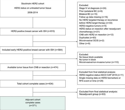 Prognostic Impact Of Her2 Biomarker Levels In Trastuzumab Treated Early