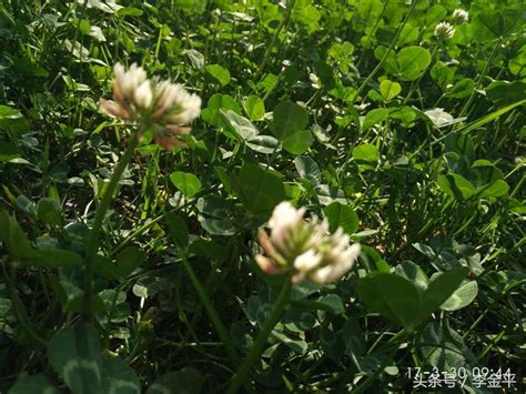 路過佛門禪詩四首兩尊石佛 每日頭條