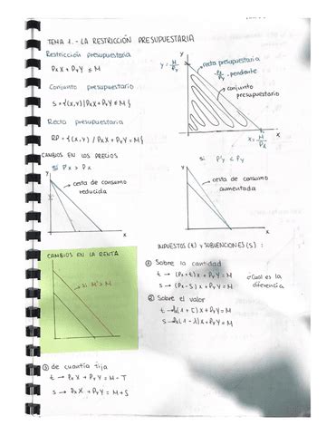 Microeconomia Ii Resumenes T T Pdf