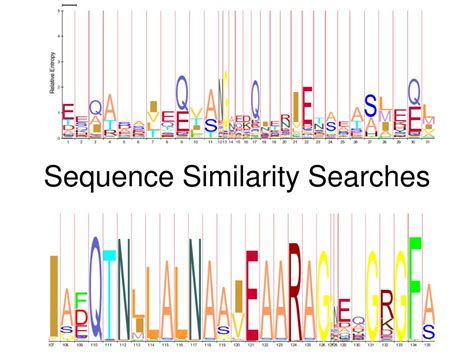 ppt sequence similarity searches powerpoint presentation free download id 4582682