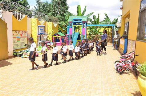 Higher Learning International School Ghana 🇬🇭 Tortoisepath