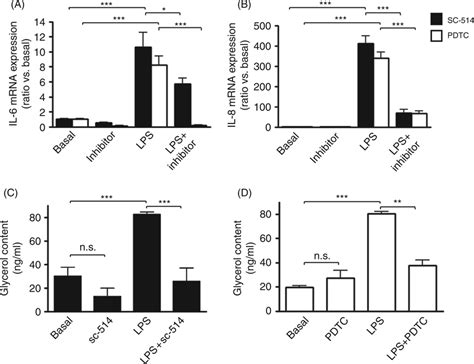 The inflammatory NF κB pathway is involved in LPS induced cytokine
