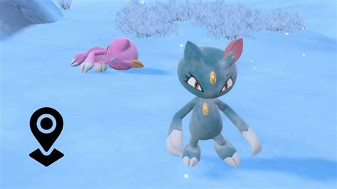 Sneasel Shiny UbicaciÓn Perfecta Farmeo Sin Movernos Youtube