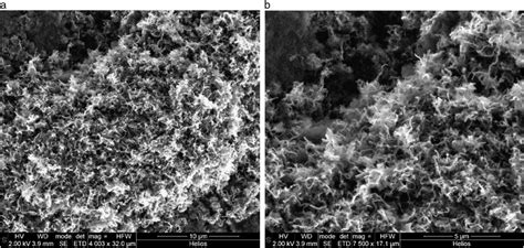 Sem Micrographs Of Composite Material Silica Aerogel Mwcnt” With Mwcnt Download Scientific