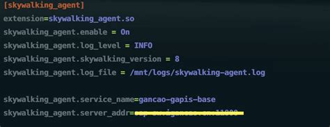 Bug Error Skywalking Agent Execute Before Execute Ex Err Phper