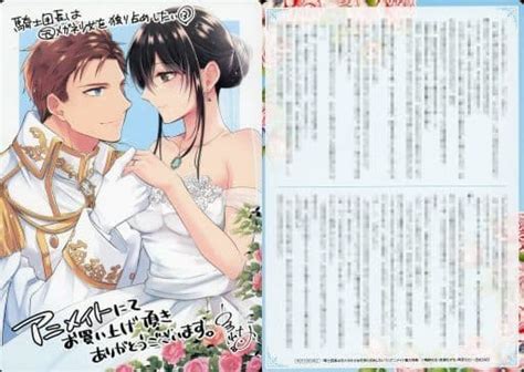 駿河屋 騎士団長は元メガネ少女を独り占めしたい3 アニメイト購入特典 リバーシブルビジュアルボード（漫画・アニメ）