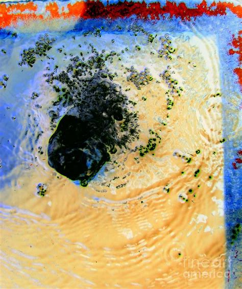 Down The Drain Photograph By Megan Ford Miller Fine Art America