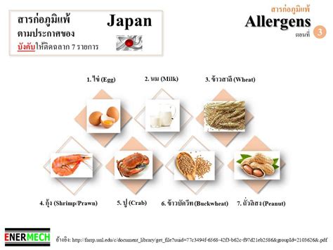 ได้ทบทวนความรู้ทั่วไปเกี่ยวกับสารก่อภูมิแพ้ Big8 รวมถึง สารก่อภูมิแพ้