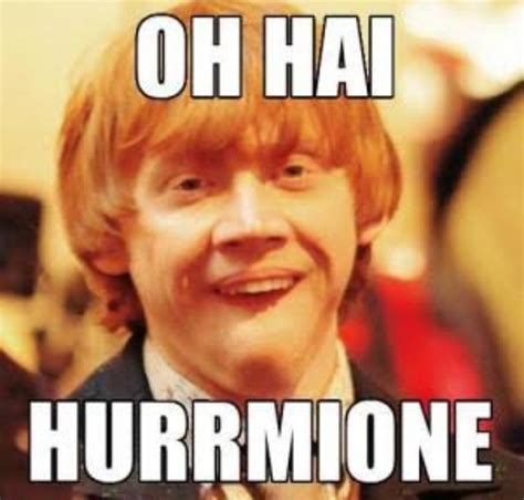 My Best Harry Potter Memes The Majority Of Them Are Obviously Ron Weasley Xd Harry Potter Amino