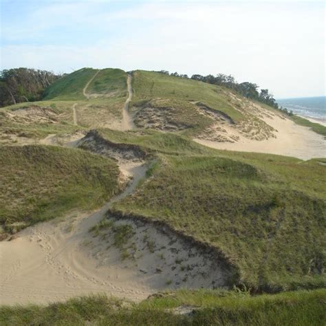 TREE LINE MARKS BOUNDARY BETWEEN VEGETATED PRIVATE LAND AND DEGRADED Download Scientific