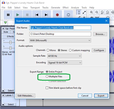I No Longer See The Export Multiple Files Option Windows Audacity