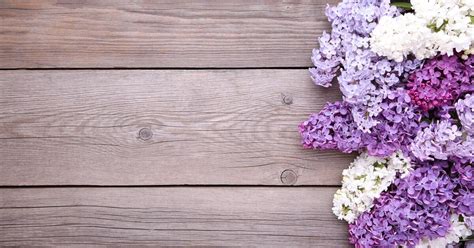 Презентація до уроку узагальнення вивченого з теми Числівник Презентація Українська мова