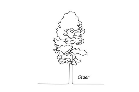 Single One Line Drawing Cedar Tree Concept Continuous Line Draw