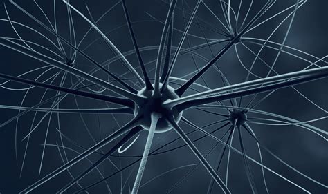 The Brain Science Of Human Performance Part The RAD Group