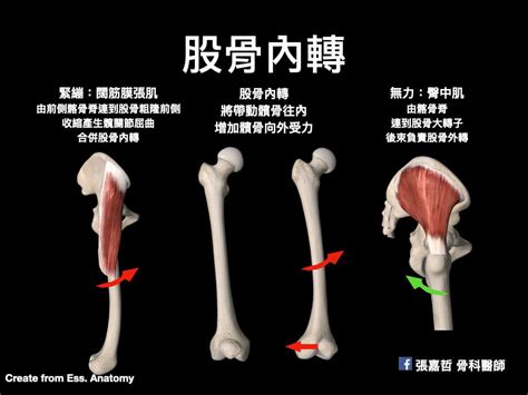 張嘉哲 骨科醫師 【年輕人的膝蓋痛 髕骨軟化】 許多年輕人莫名膝蓋痛