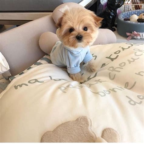 Trudy Patrick Facebook Instagram And Twitter On Peekyou