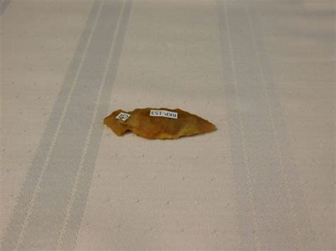 Fl Spike Artifact Translucent Fossils And Artifacts For Sale Paleo