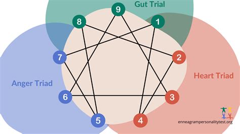 Enneagram Triads Gut Heart And Head Explained