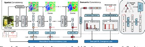 Learning Hierarchical Semantic Classification By Grounding On Consistent Image Segmentations