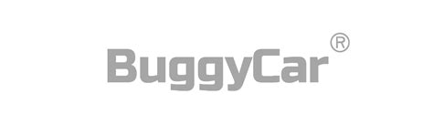 Buggy Motors Beachbuggy Buggycar Renli Offroad Joyner Royal Alloy