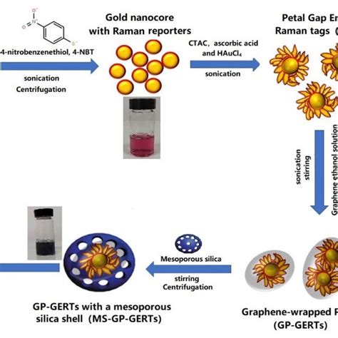 schematic illustration of the synthesis process of the gp gerts and