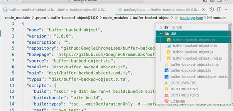 Bug 1 0 1 Package Json Module Entry Doesn T Match Dist Dir Issue