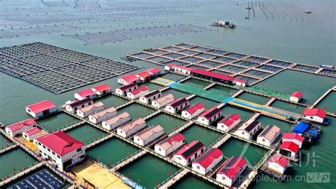 福建霞浦：海上“春耕” 人民图片网