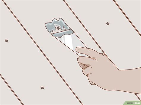 How To Keep Squirrels Away Effective Tips