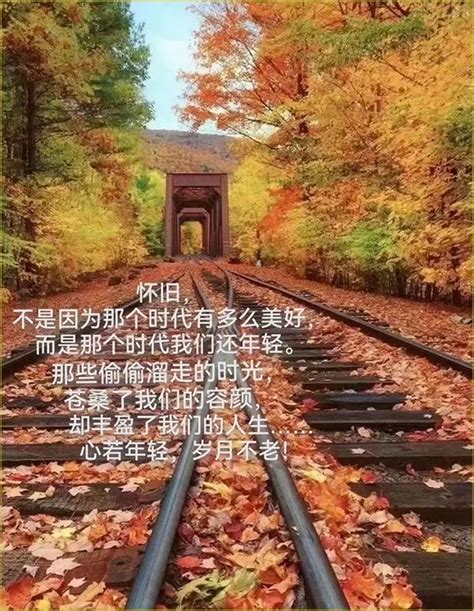 图说天下116 老小孩讲述