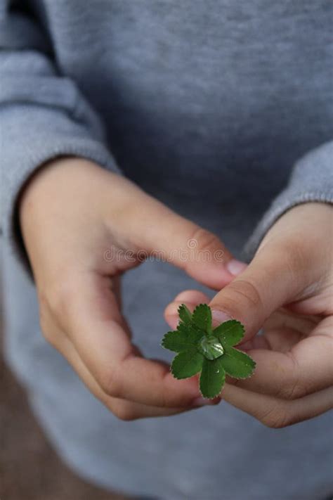Small Drop Stock Image Image Of Glass Mineral Cold Crystal 160307