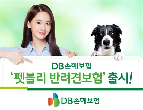 Db손보 펫보험 출시의료비 최고 연간 2천만원까지 보장 연합뉴스