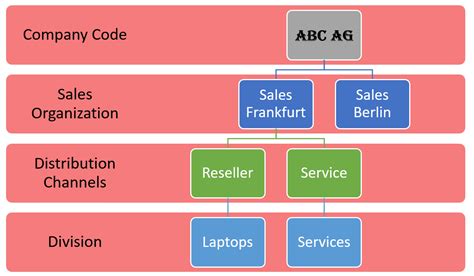 Sap Sd Organizational Structure Complete Guide