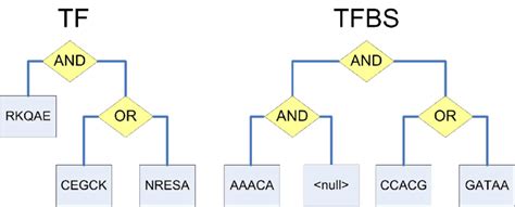 Exemplary Pair Of Boolean Expressions Trees Of K Mers The Left Tree