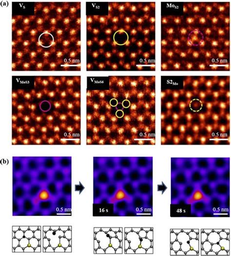 Atomic Level Defect Modulation And Characterization Methods In 2d