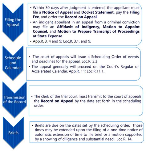 Federal Court Appeal Timeline