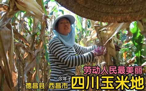 骑行祖国第五十六回农田偶遇女主人彝乡姑娘挺热忱 远方阿文 远方阿文 哔哩哔哩视频