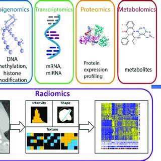 Multiomics Data And Its Role In Precision Oncology Cnv Copy Number