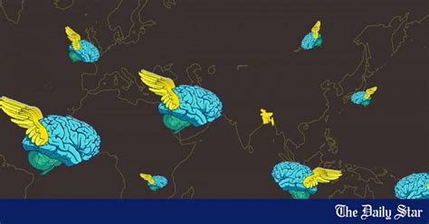 How Can Bangladesh Turn On Its ‘brain Gain The Daily Star