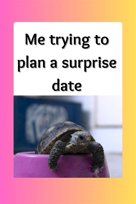 Love Memes Surprise Date Meme Mingle Medium
