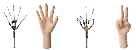 How To Custom Your Dream Sex Doll From BBdoll