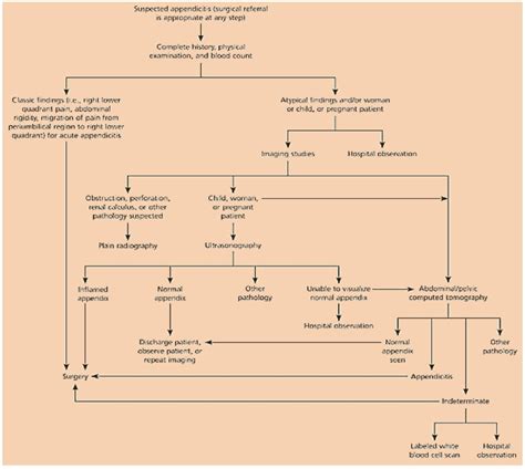Appendix And Diagnostic Mystery Subhepatic Appendicitis