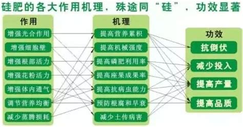 硅肥很重要！~你却从未用过？作物