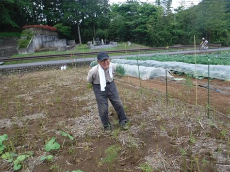 柿沢謙二ブログ ベジタリアンの食卓 ワラビ編