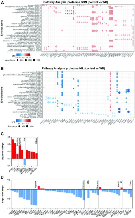 Pathway Analyses And Functional Classification Of The Proteomes Of