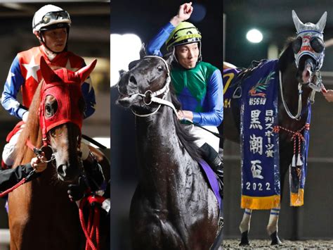 【川崎・戸塚記念】3歳地方強豪馬が激突 牝馬二冠馬スピーディキック、東京ダービー馬カイルなどが登録 競馬ニュース Netkeiba