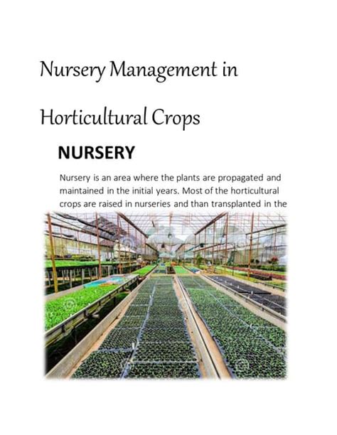 Nursery Management In Horticultural Crops Docx Agriculture Industries